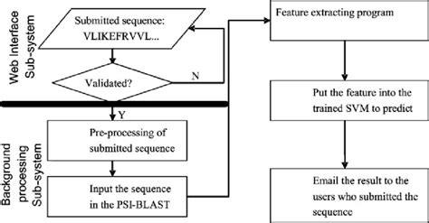 The Brief Flow Chart Of The Prediction Procedure Using The Web Server