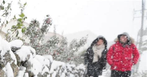 눈 쌓인 제주 돌담길 걷는 연인