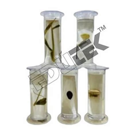 Microstructure Specimen Set Metallurgical Microstructure Specimen Set Latest Price