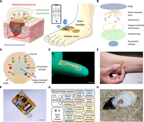 A Stretchable Wireless Wearable Bioelectronic System For Multiplexed Monitoring And Combination