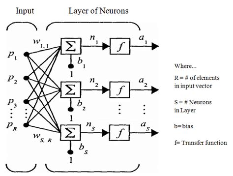 A Single Layer Neural Net Download Scientific Diagram