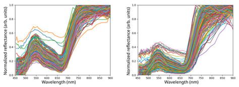 Real Time Ai Assisted Push Broom Hyperspectral System For Precision Agriculture