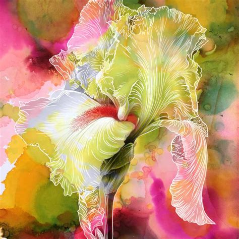 Pink Iris Ltd Ed Print Art Lovers Australia Pink Iris Ltd Ed Print Art Lovers Australia