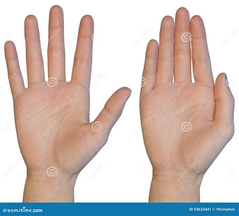 Female Hand Palm