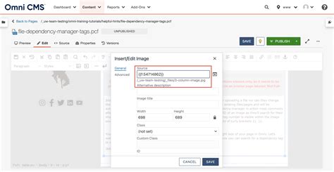 File Dependency Manager Tags
