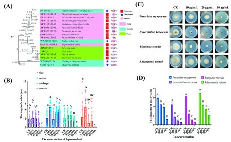 Overexpression Of Hydroxyphenylpyruvate Dioxygenase HPPD Enhances Download Scientific
