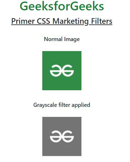 Primer CSS Marketing Filters GeeksforGeeks