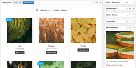 How To Enhance Your Product Gallery In WooCommerce
