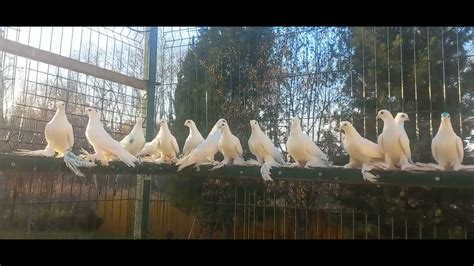 Моздок Youtube