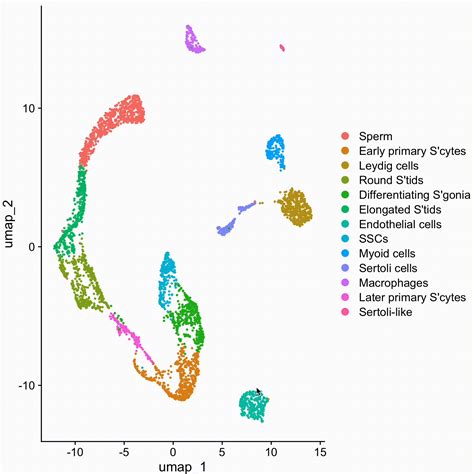 Spatial Dissimilarity Analysis For Single Cell Trajectories And