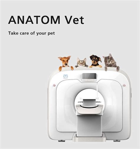 Multi Slice Spiral Ct For Vet