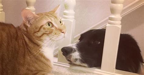 Stalker Album On Imgur