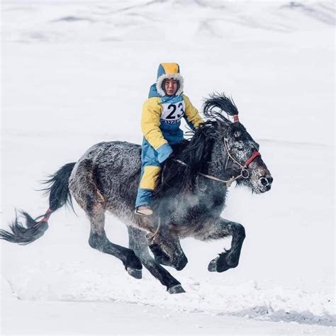 Морь уях арга эрдэм