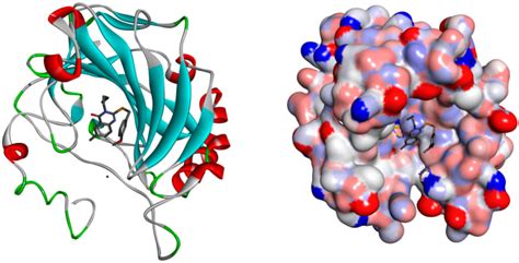 Do Bioinformatics Analysis Molecular Docking Structure Prediction By