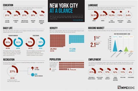 City Demographic Infographic