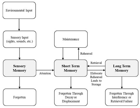 Multi Level Model Of Information Processing [69] Download Scientific Diagram