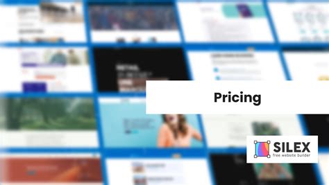 Pricing Of Silex Saas Version And Self Hosted Version