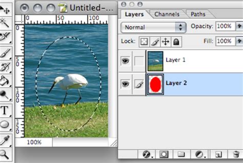 Photoshop Masking Tutorial Extract A Photo TurboFuture
