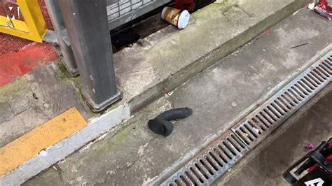 Watch Sex Toy Spotted Beside Man Utd Dugout Metro Video Watch Sex Toy Spotted Beside Man Utd Dugout Metro Video