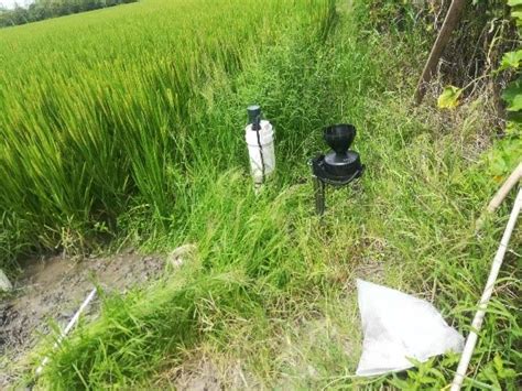 疫情下上海农业面源污染系统的维护 点将科技 专注生态环境及农业科技