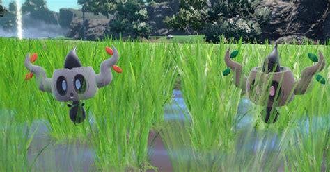 碧の仮面 色ボクレーの見分け方 【ポケモンsv】｜シオのポケモンsv活動日記