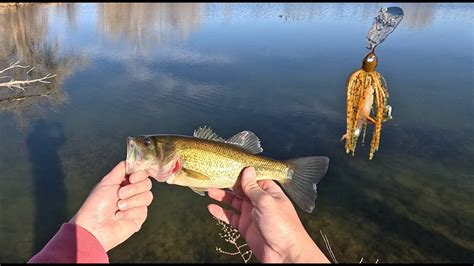 Pre Spawn Bass Fishing On The Front Range Youtube