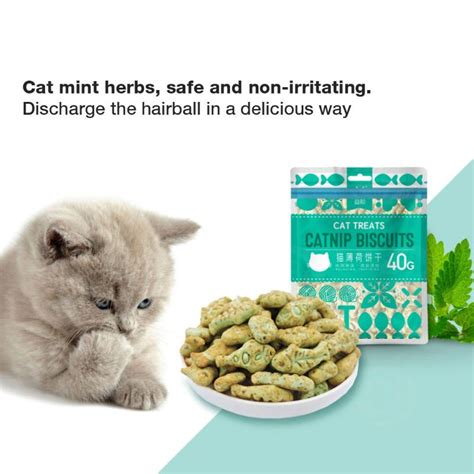 Catnip Biscuits Cat Treat 40g Shopee Singapore