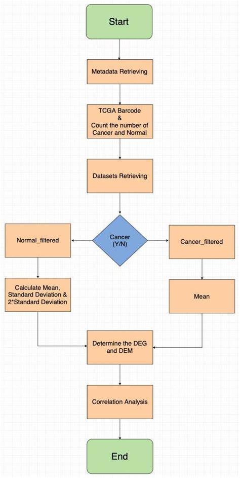 Shows How The Process From Gathering The Data Until The Correlation