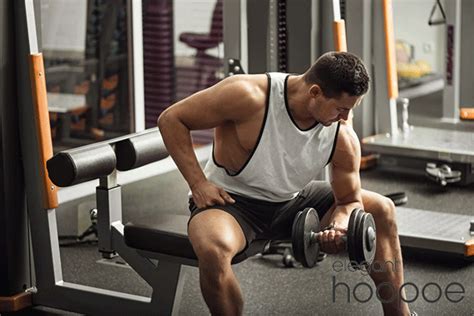 Best Bicep Exercises For Mass Build Bigger Stronger Arms Elegant Hoopoe