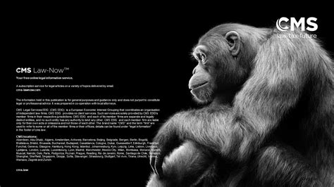 Animated Ppt Deck By Steve Brown On Dribbble