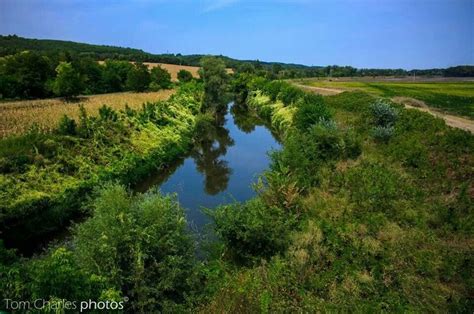 El Rio Sio Landscape