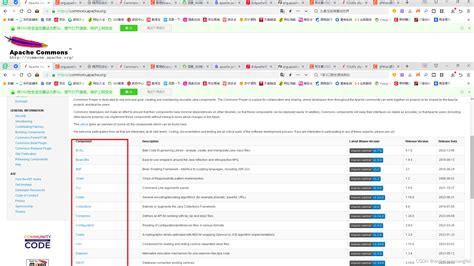 1 Apache官网 Jar包下载教程apache下载jar包 Csdn博客