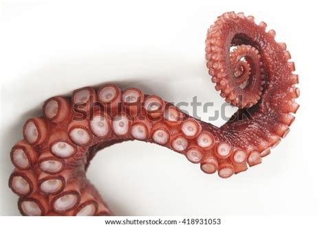 Octopus Arm Foto De Stock 418931053 Shutterstock