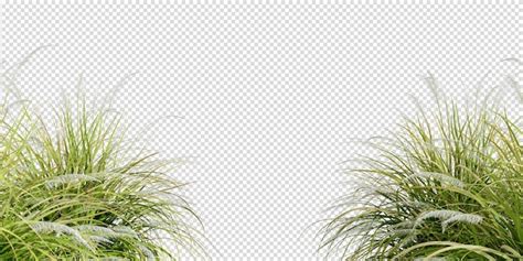 Premium Psd 3d Rendering Of Grass And Shrub Arrangements
