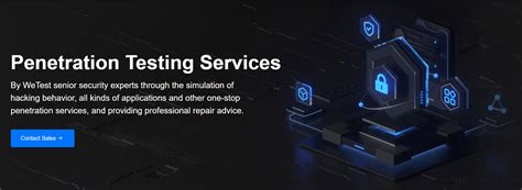 Check Out How To Try Out Wetests Penetration Testing Services