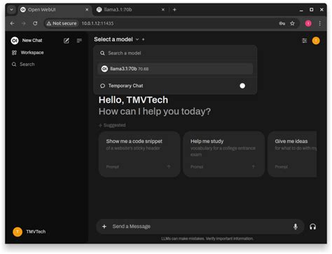 Ubuntu Tutorial Self Host Ollama Models Tmvtech