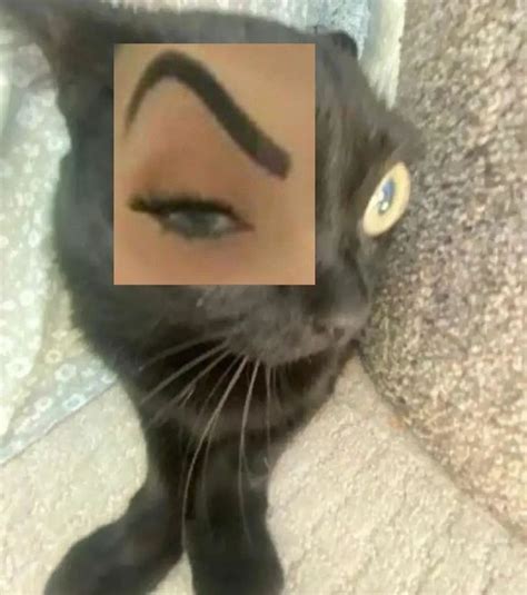 Eyebrow Raised Expression Meme