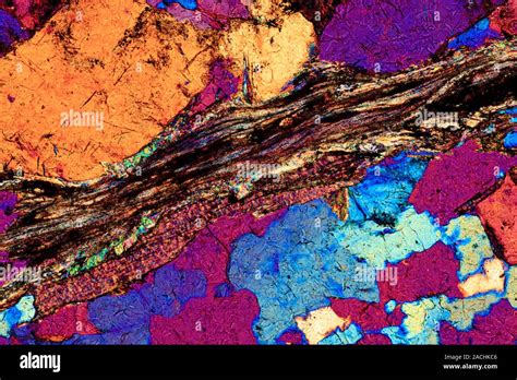 Polarised Light Micrograph Of A Thin Section Of Gneiss An Igneous Rock