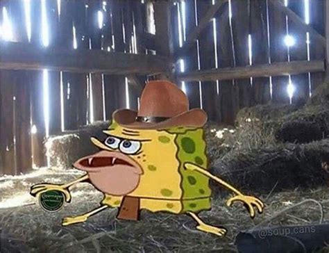 Spongebob Memes For Barn Spongebob Squarepants Patrick Star
