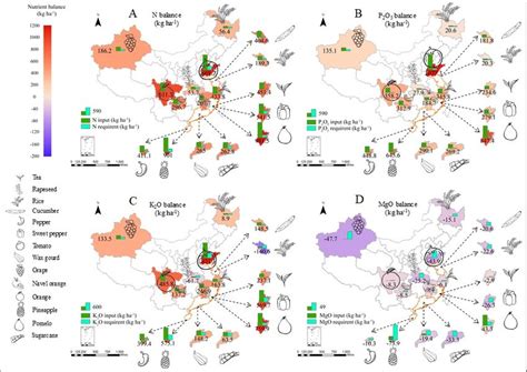 Nutrient Balance In Different Regions And Crops The Values In The Download Scientific Diagram