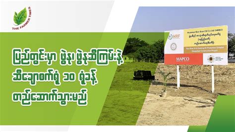 ပြည်တွင်းမှာ ဖွဲနု၊ ဖွဲနုဆီကြမ်းနဲ့ ဆီချောစက်ရုံ ၁၀ ရုံခန့် တည်ဆောက်သ