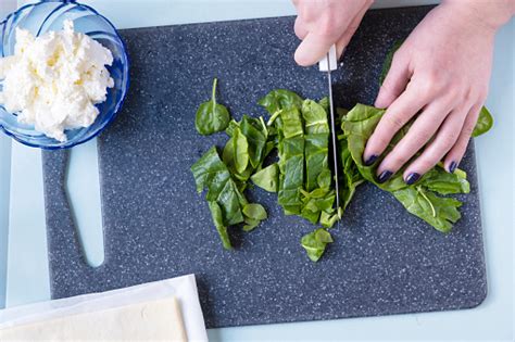 치즈 시금치 파이 짠 케이크 조리법 단계적으로 위에서 볼 수 있습니다 소녀는 요리입니다 3단계 Diy에 대한 스톡 사진 및 기타 이미지 Istock