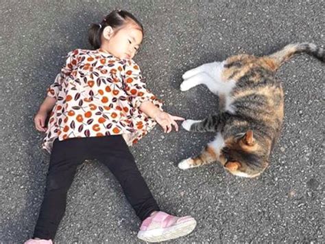 함소원 고양이 앞발 만지려 길 위에 누워 버린 딸귀여움 폭발