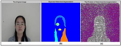 A Original Image B Expected Watershed Segmentation C