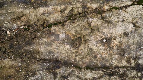 한 오래 된 콘크리트 슬 래 브 이끼 배경의 얼룩으로 덮여 표면 거리에 대한 스톡 사진 및 기타 이미지 거리 거친 건설 산업 Istock