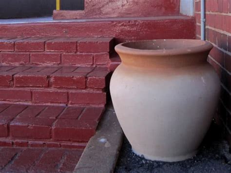 How To Dry Wet Soil Fast