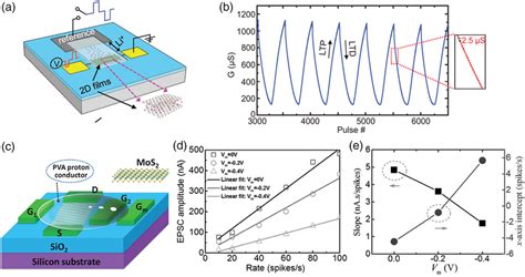 A Schematic Diagram Of Electrochemical Graphene Neuromorphic