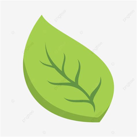 Grande Vetor De Desenho De Folha Verde Png