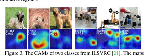 PDF Learning Deep Features For Discriminative Localization Semantic Scholar
