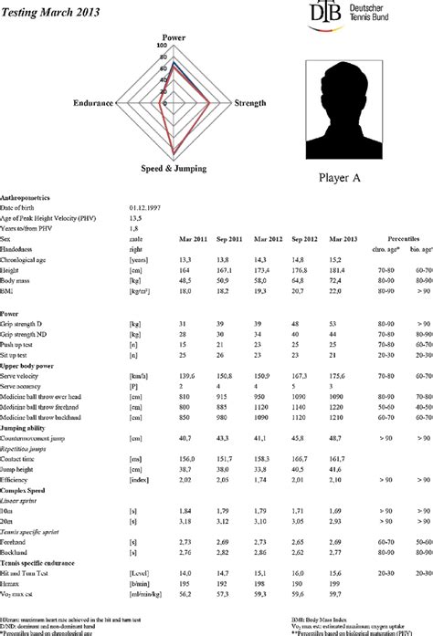 Individual Profile Of Player A Download Scientific Diagram